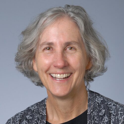 Theresa Cullen, MD, MS - Big Cities Health Coalition