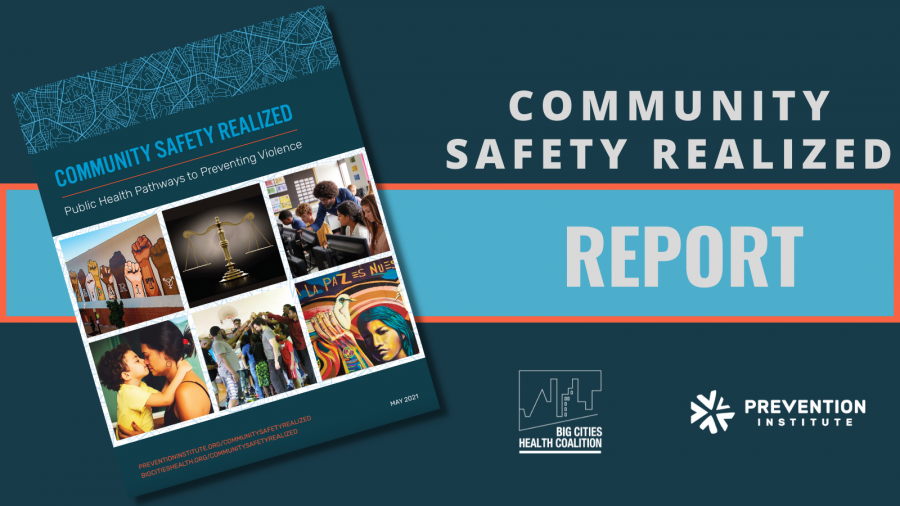 Community Safety Realized: Public Health Pathways to Preventing ...
